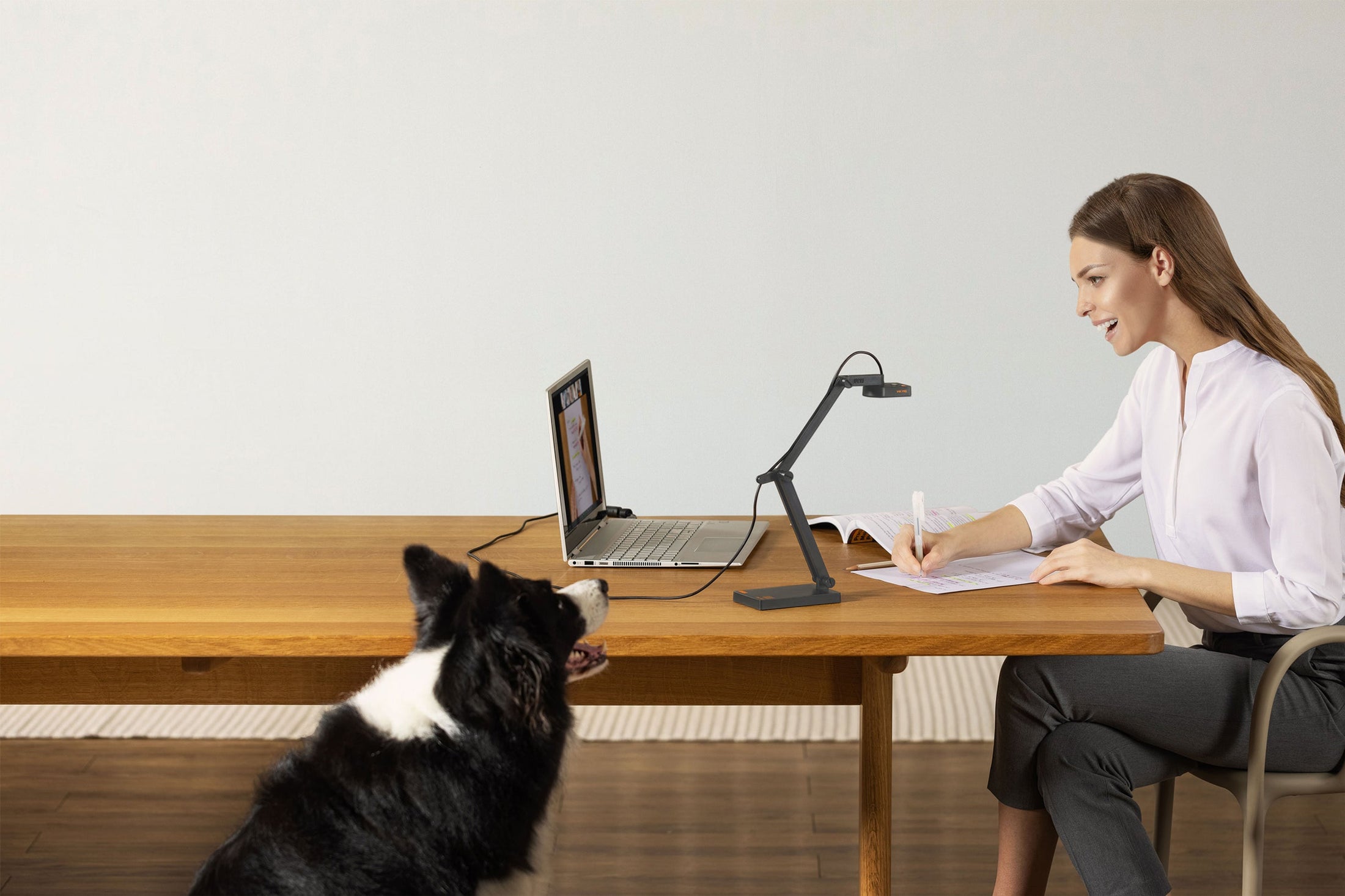 IPEVO V4K PRO - World's first Doc Cam with AI-Enhanced Microphone ...